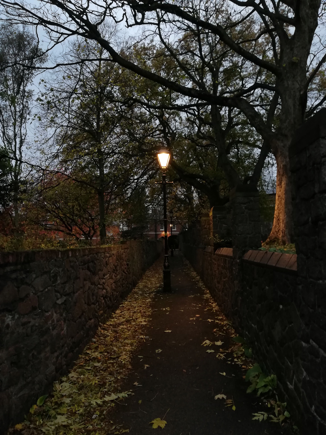 The Lane, reimagined… – Jules P Richards